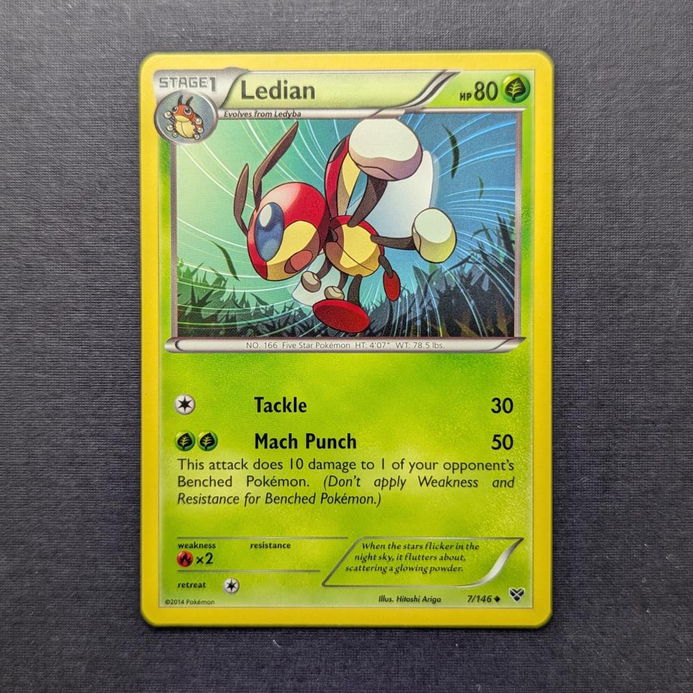 Ledian – 7/146 – Equinox Cards